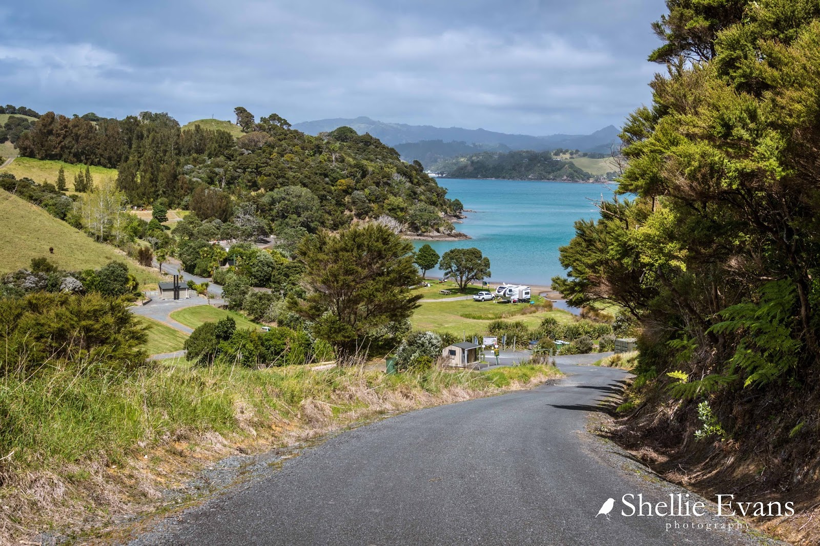 Two Go Tiki Touring: Perfect Puriri Bay- Part 1