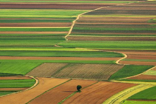 Географија за гимназије: Панонска низија