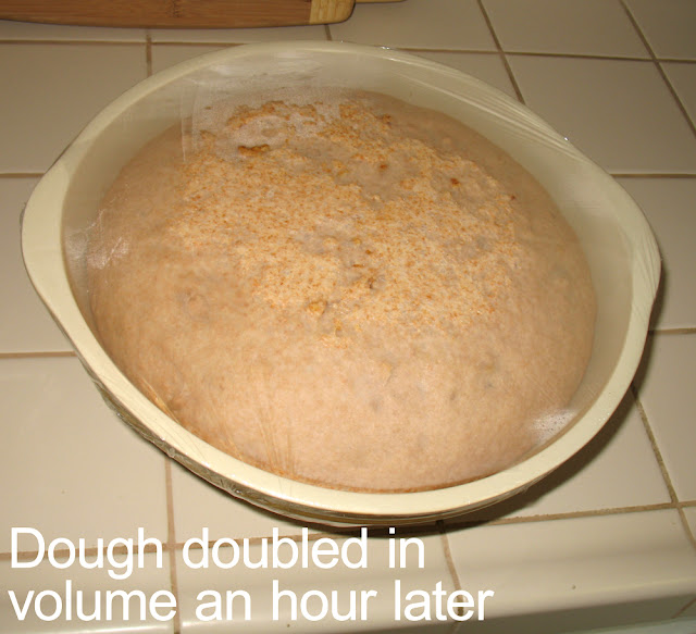 Plastic Icon: Wheat Bread