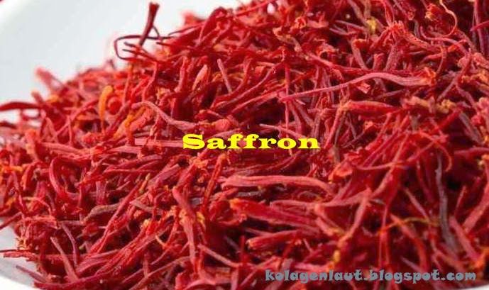 Shahkb Online: Whatsapp 017 930 6329: SAFFRON - Rempah Termahal Di Dunia