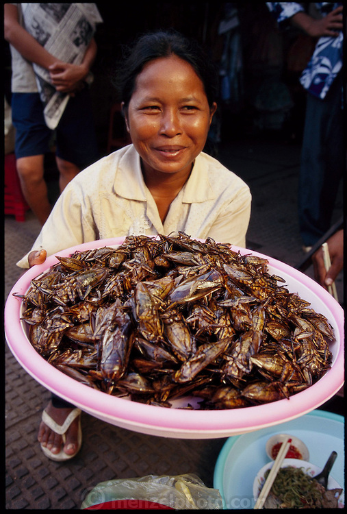 ShadyGradyOnline: February 2017