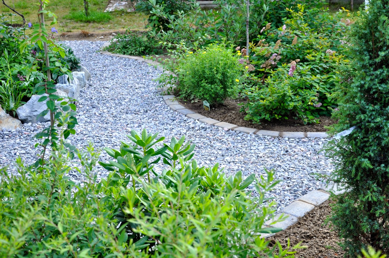 Hagen i skogen: Gangveier og stier i hagen