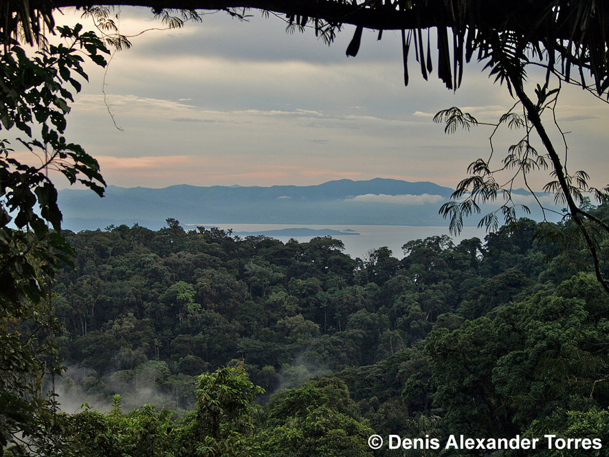 Diferentes Climas en Venezuela: 1-Tipos de Clima en Venezuela.