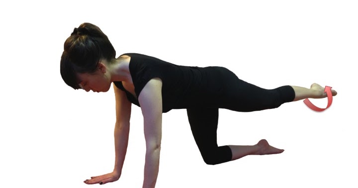 Quadruped Hip Circle