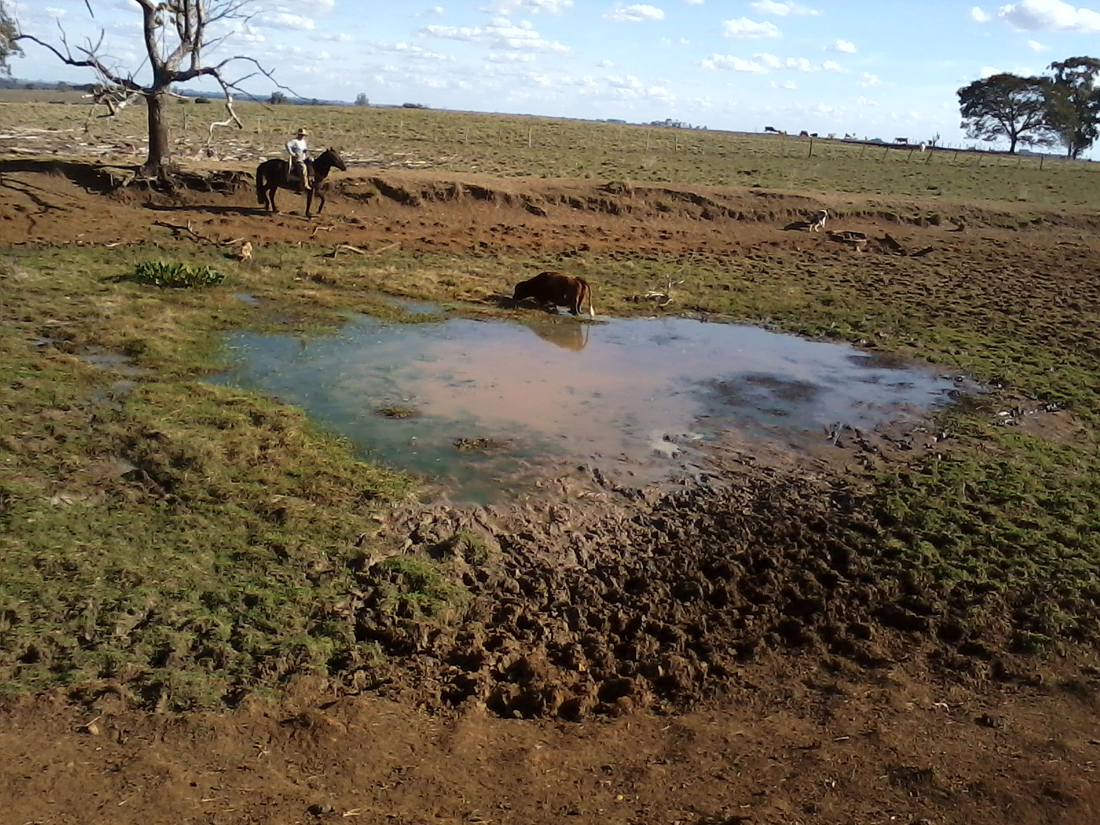Blog do André Nascimento: Imagens da Seca.