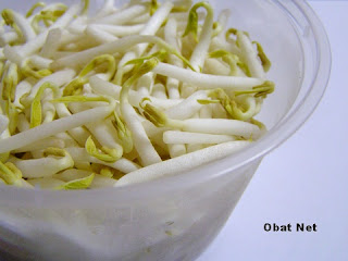 Manfaat Tauge (Toge) Bagi Tubuh | Obat Tradisional | Pengobatan Tradisional