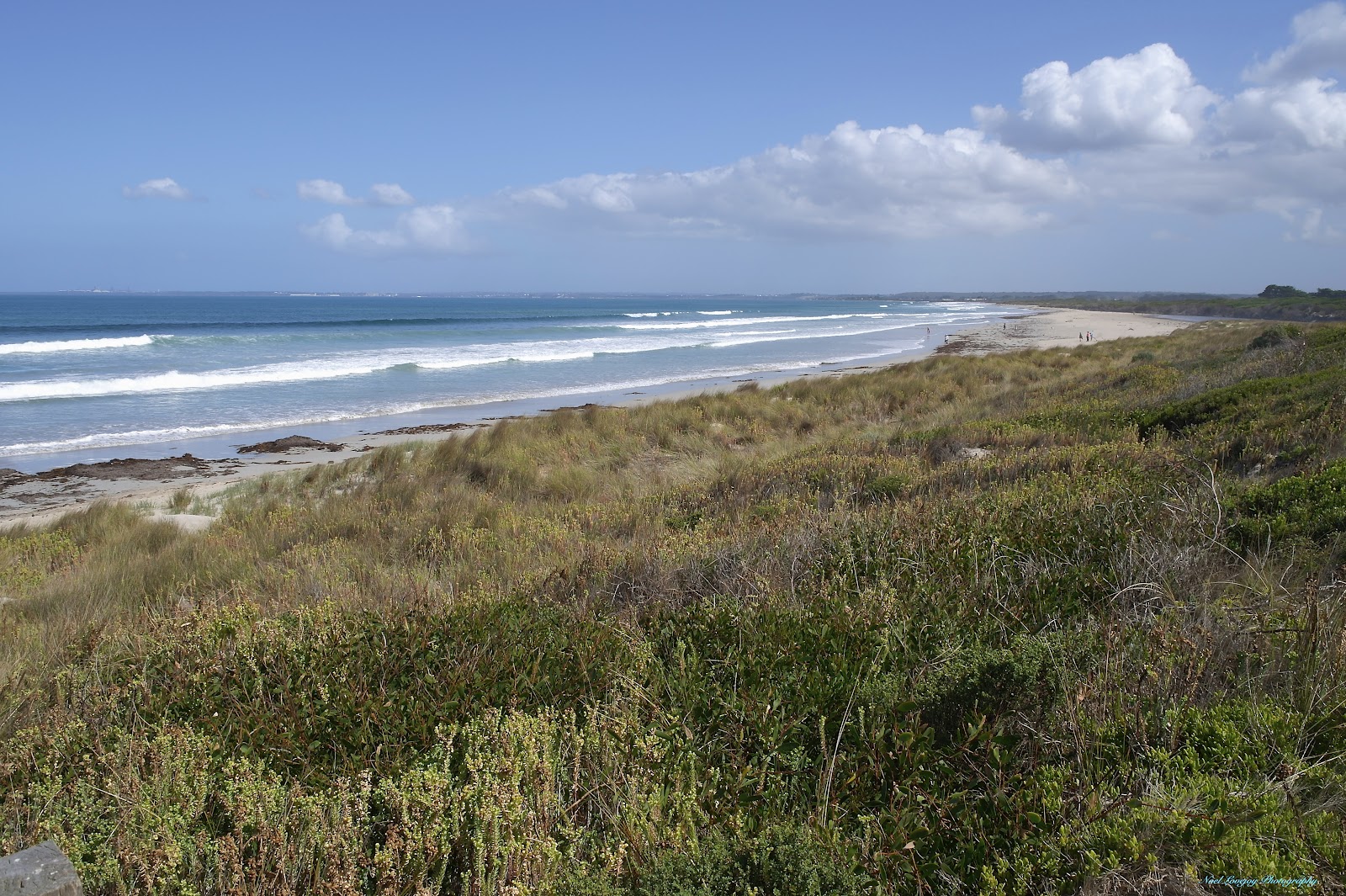 Can Go Around Australia: Mount Clay State Forest