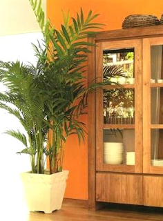 Home Decorations: How to decorate your home with artificial plants