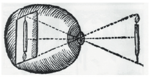 CINEDUMOTION: Nociones básicas de percepción visual