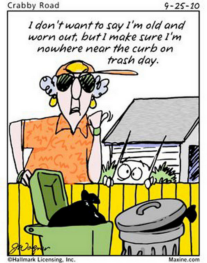 Chuck's Fun Page 2: Some mildly amusing Maxine cartoons