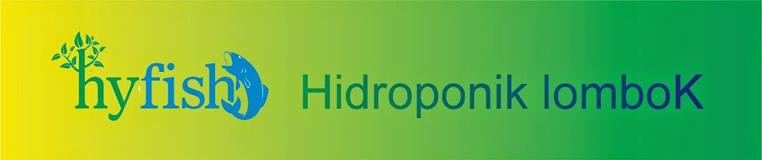 Hyfish Hidroponik lomboK