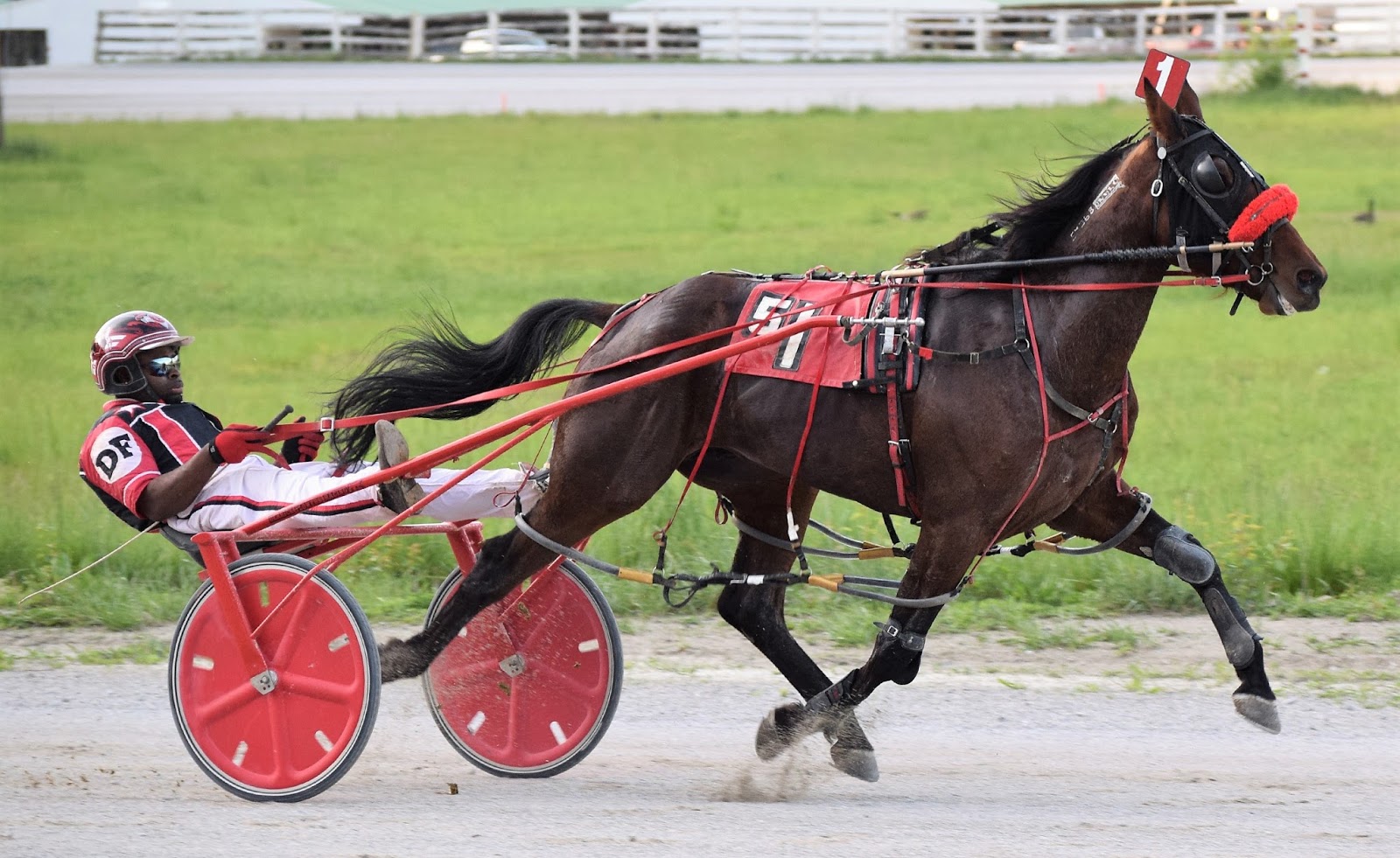 Friskie Stage takes the Gerald Russell Memorial at Thunder Ridge Raceway