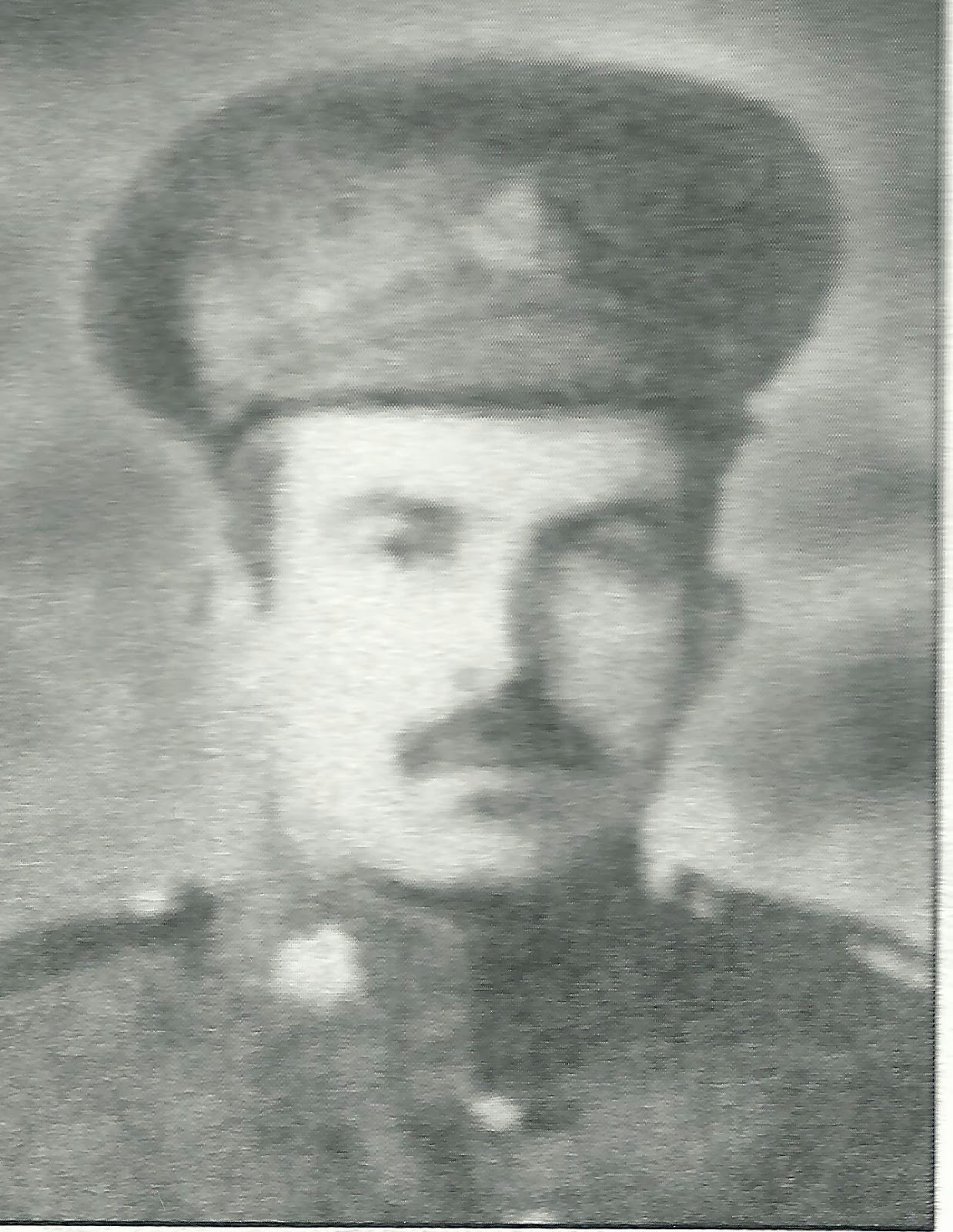 Dummer Township: Soldiers of the Great War: William J. Newman 93rd ...