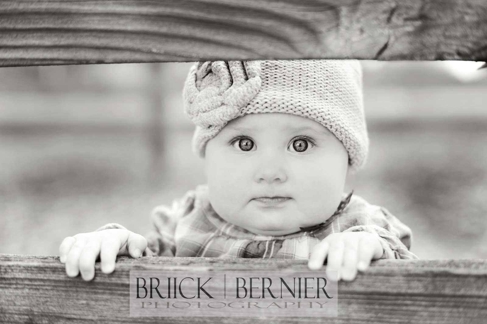 Briick | Bernier Photography: The Hoyer Family Sneak Peeks are now blogged!