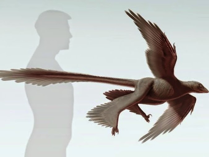 Grymvald Gazetteer: Flora & Fauna Friday - Drinking Apes, Drunken Boars ...