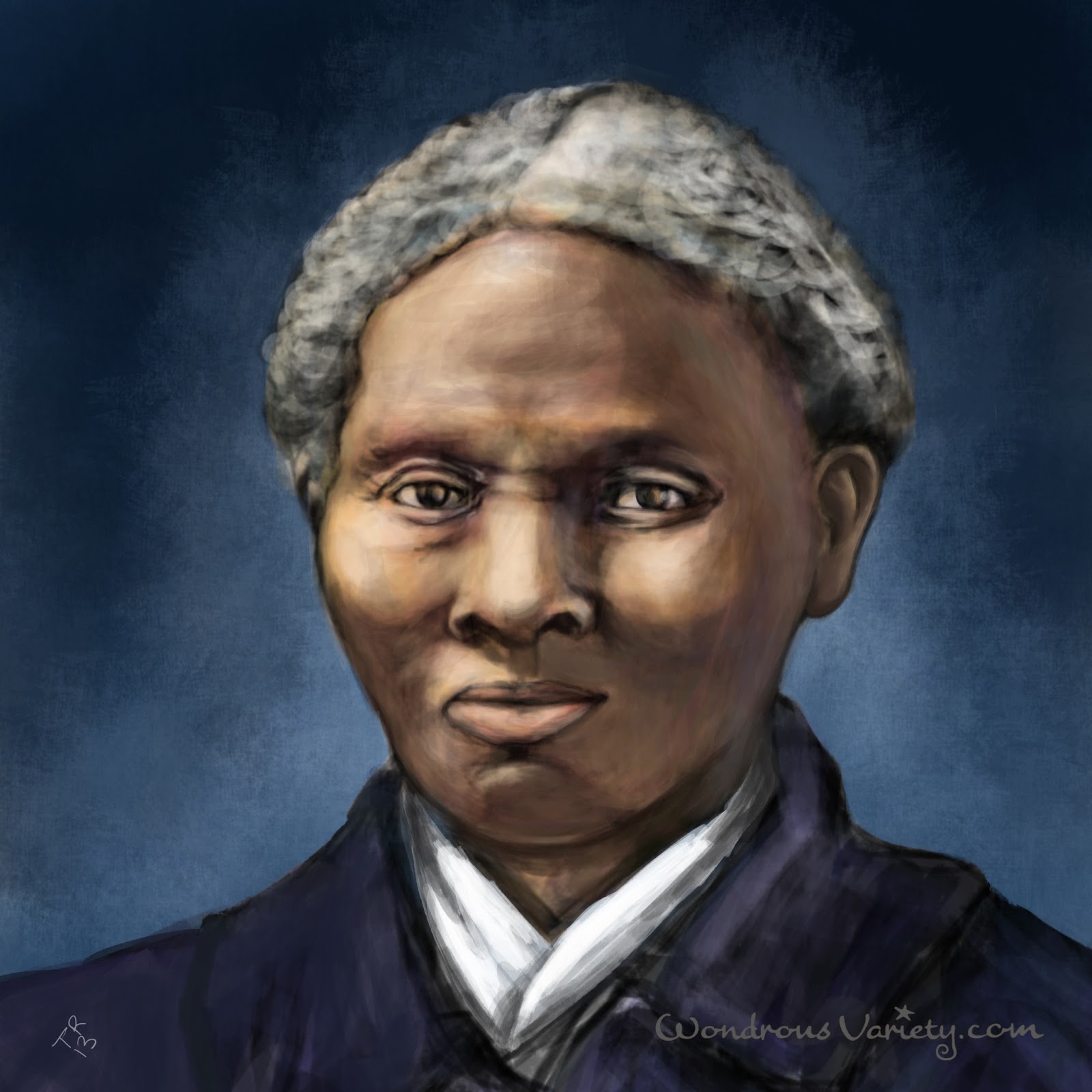Wondrous Variety Blog: Thank You, Harriet Tubman
