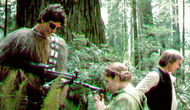 PHILLY TREES: NORTH BY NORTHWEST: BLOCKBUSTER TREES