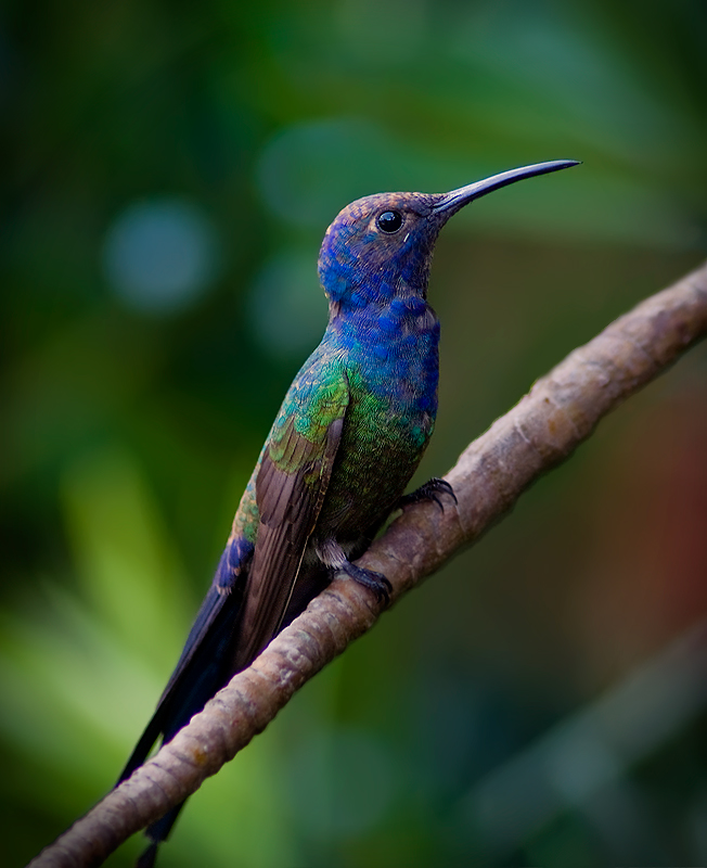 ადამიანები , რომლებმაც შექმნეს ეპოქა...: საინტერესო ფაქტები