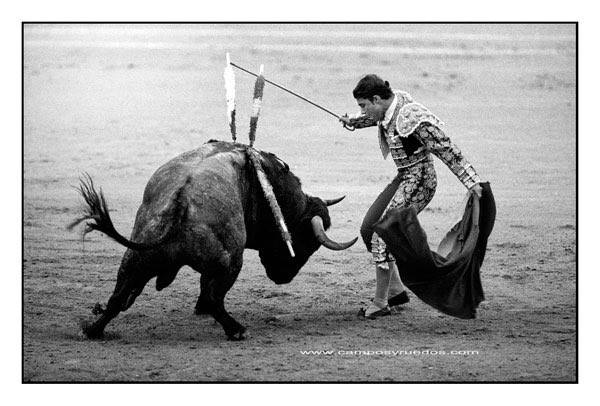 Toro, Torero y Afición: El toreo es grandeza