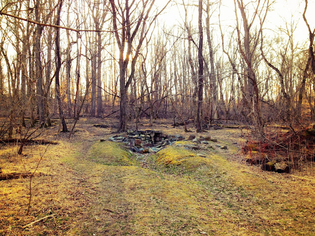 Historic Wanderings: Ruins of Matildaville, VA