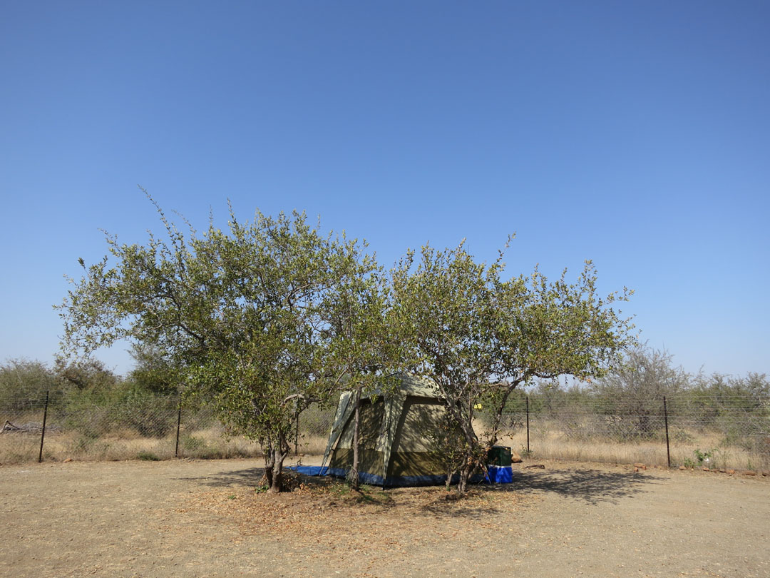 66 Square Feet (Plus): Balule - the tiny camp
