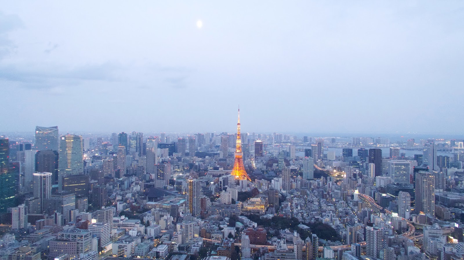 Tokyo City View | LIVE IN LOVE