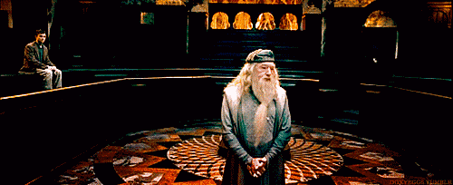 THE GRANDMA'S LOGBOOK ---: ALBUS DUMBLEDORE, WISDOM AND INTELLIGENCE