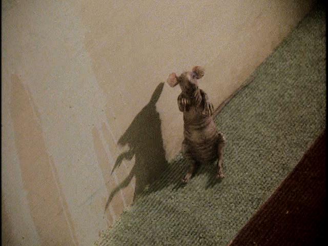 A Much Deeper Level: The Witches, Part 5: Of Mice and Women