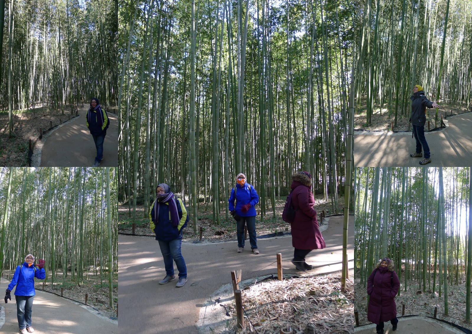 tapakakiku...: jejak jepun day 5: pt.2 Arashiyama Bamboo groves ...