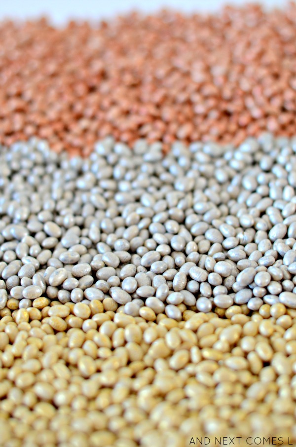 Metallic Dyed Beans {How to Dye Beans for Sensory Play} | And Next ...