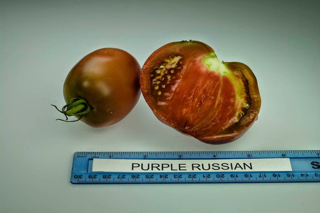 Tarım Siteniz: Domates Çeşitleri (-N-O-P-Q-R-)