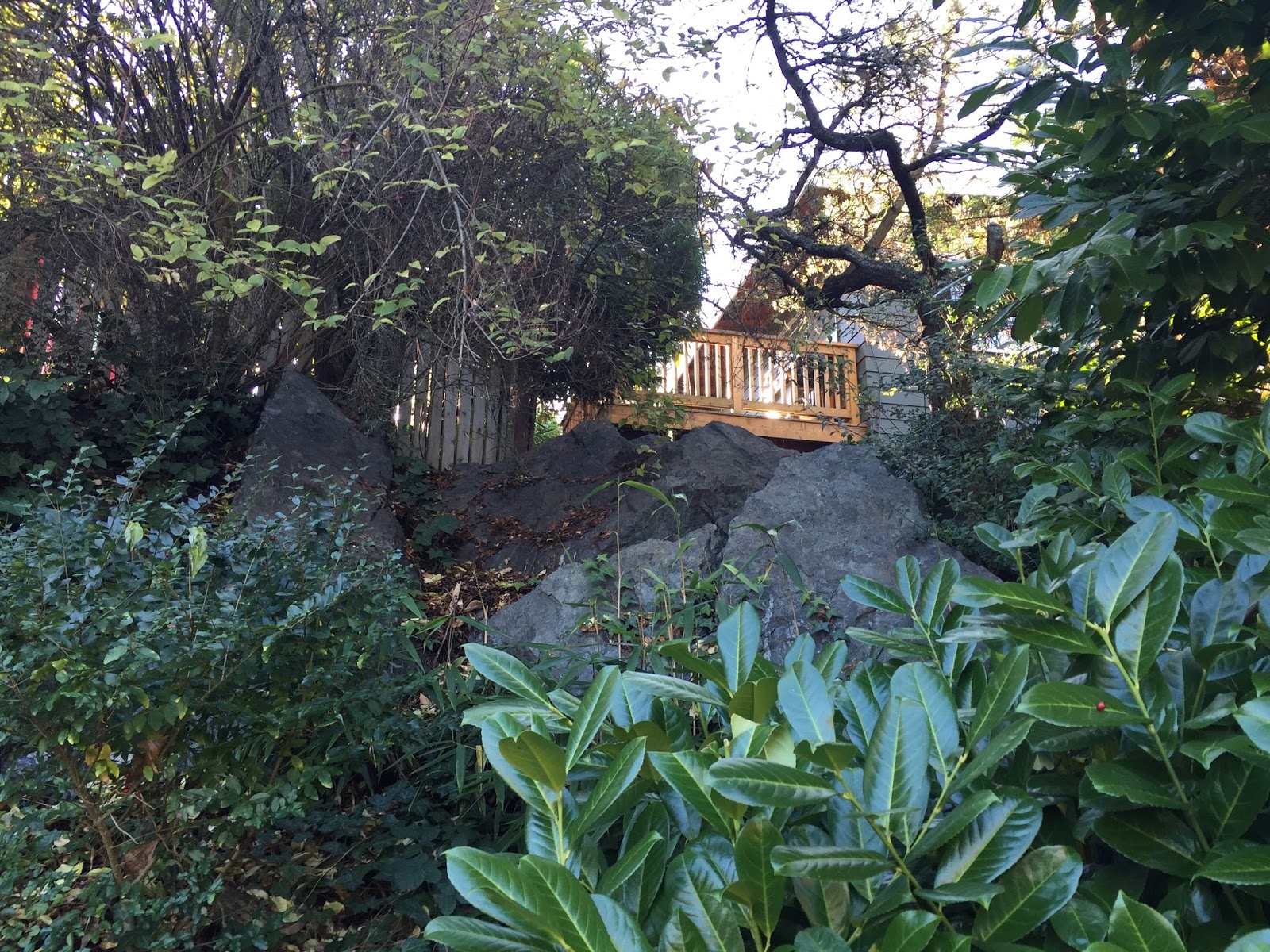 Boren Park, ENVIR 280 Journal: Erratic In Seattle - Seattle Erratic ...