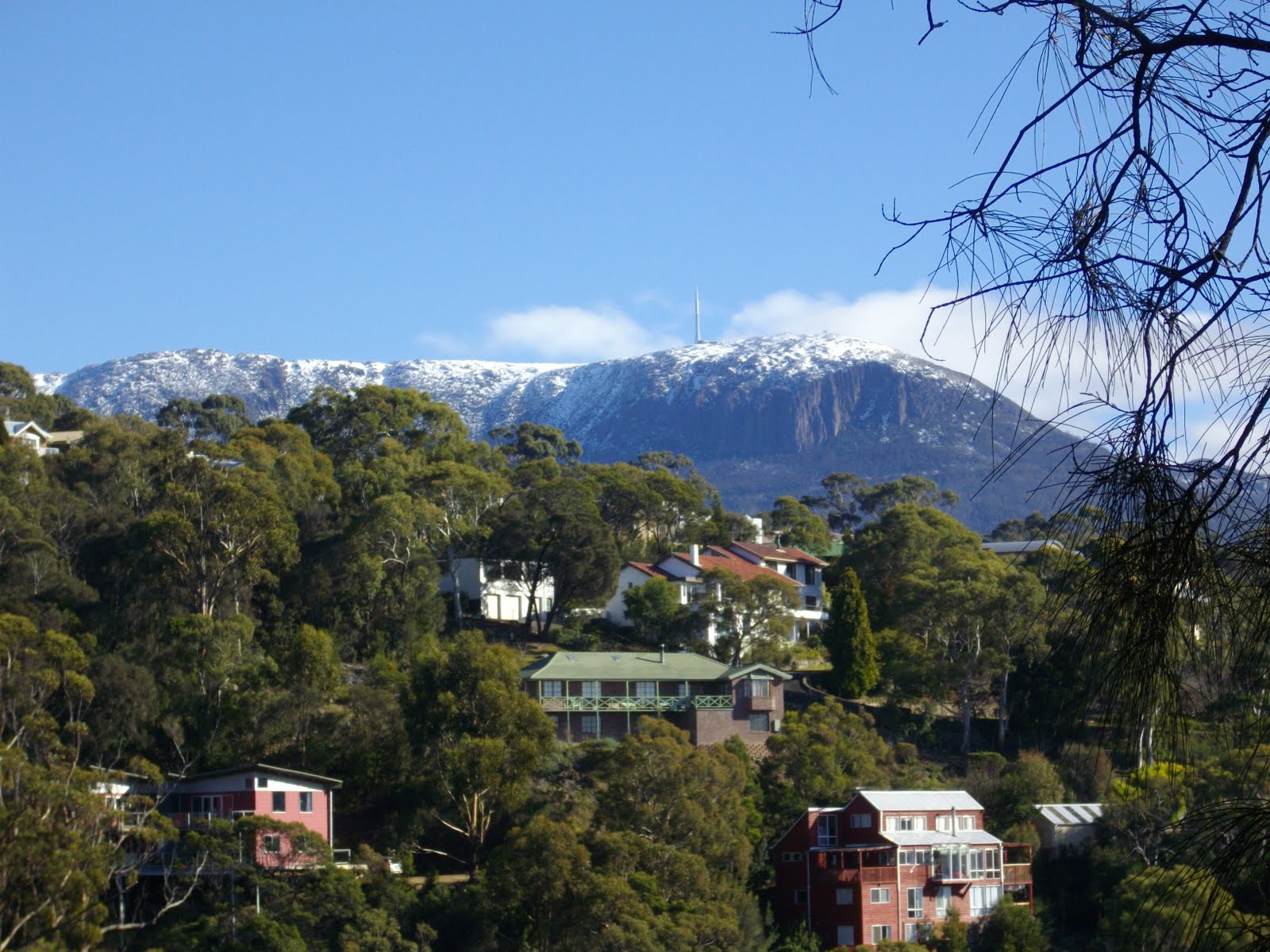Abroad in Oz: Mount Nelson Climb