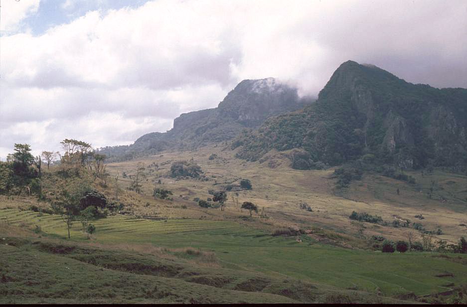 HALERIK: FOHO (MUNDO PERDIDO) OSSÚ HELIK INAN ISIN RUA NIA HALERIK.