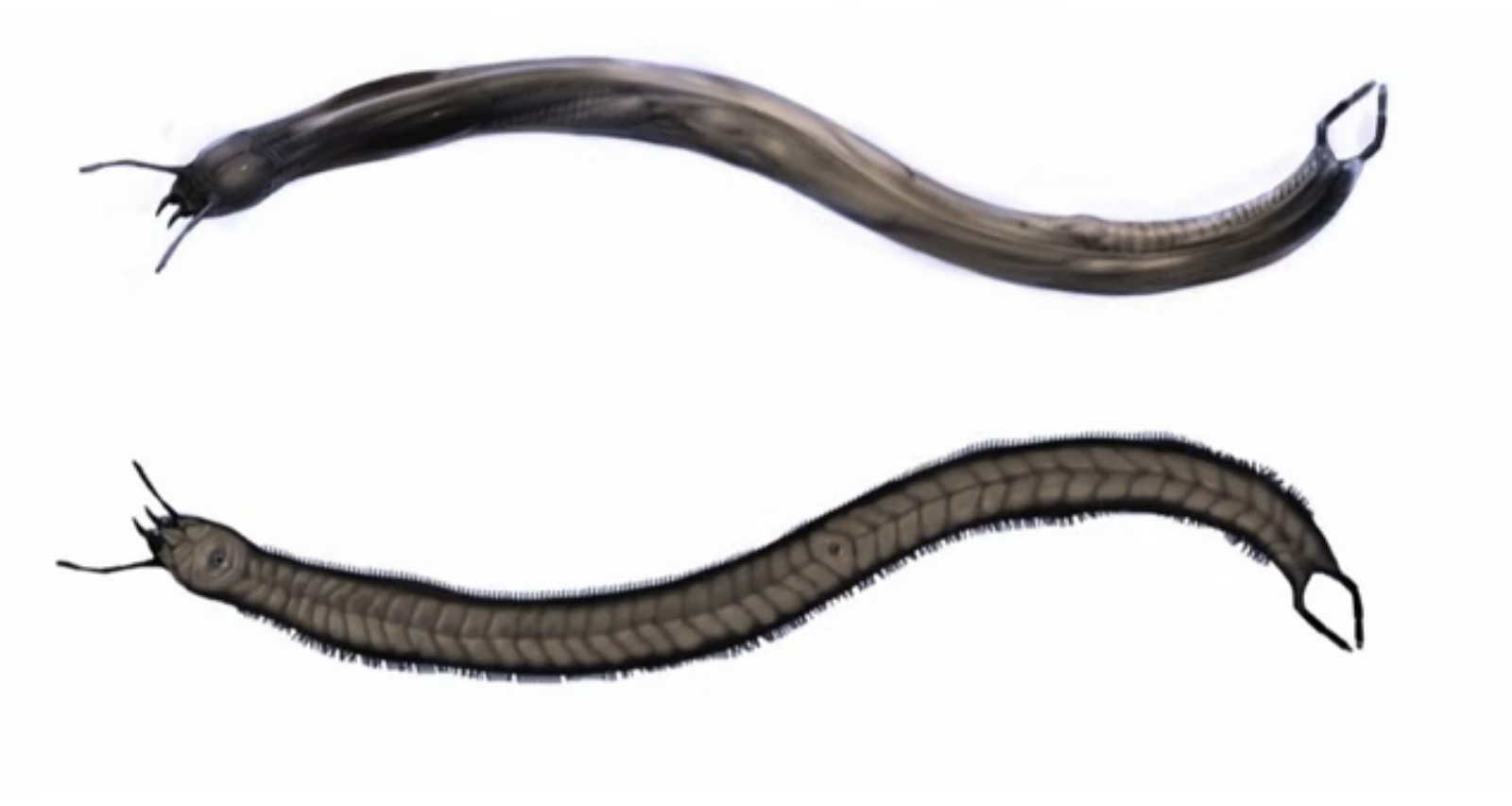 Alien Explorations: Prometheus: Carlos Huante: Exploring attacks by ...