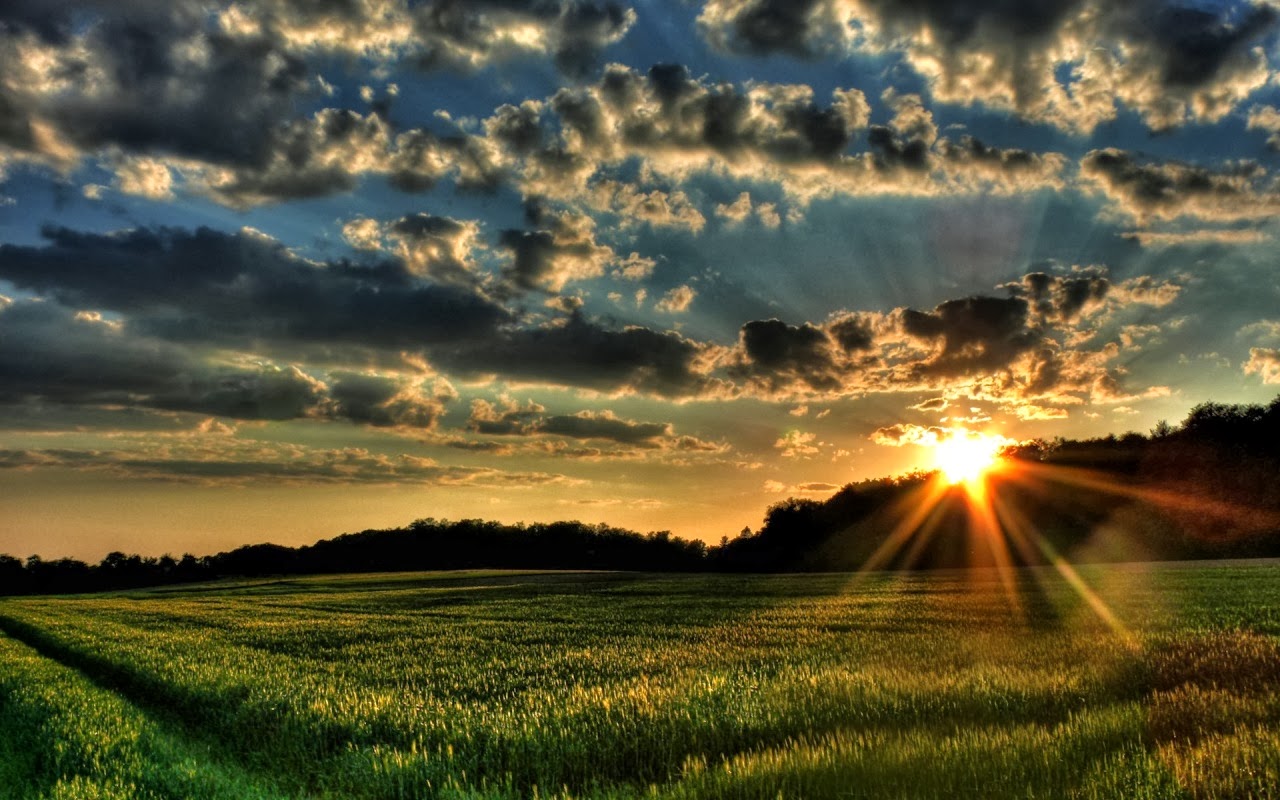 A Pieceful Heaven in a Peaceful Haven