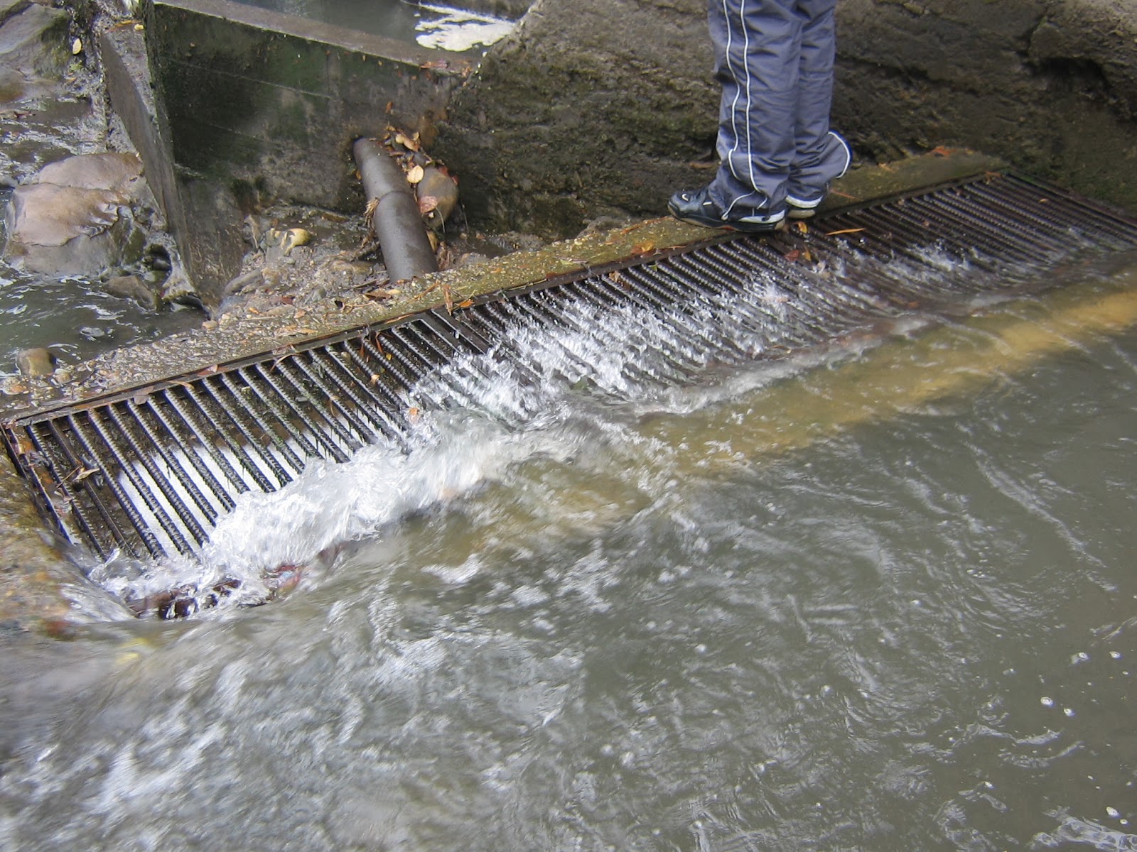 UMB PRACTICA I: 2013