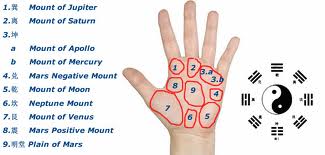 FREE ASTROLOGY: PALMOLOGY