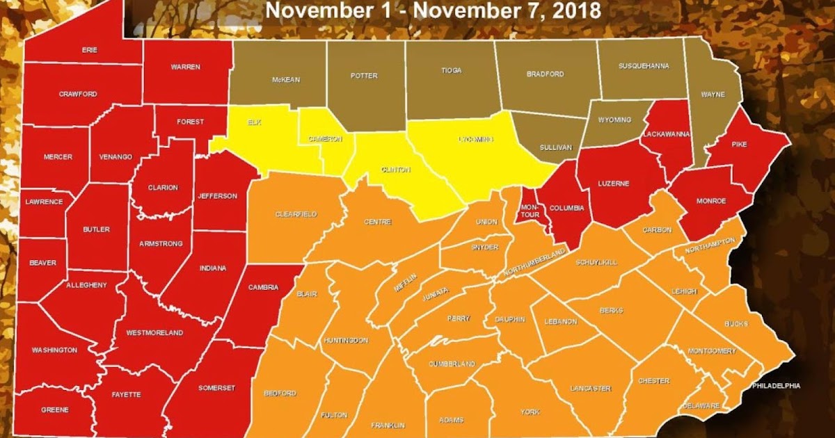 PA Environment Digest Blog: DCNR Week 6: Fall Foliage Now At Its Most ...