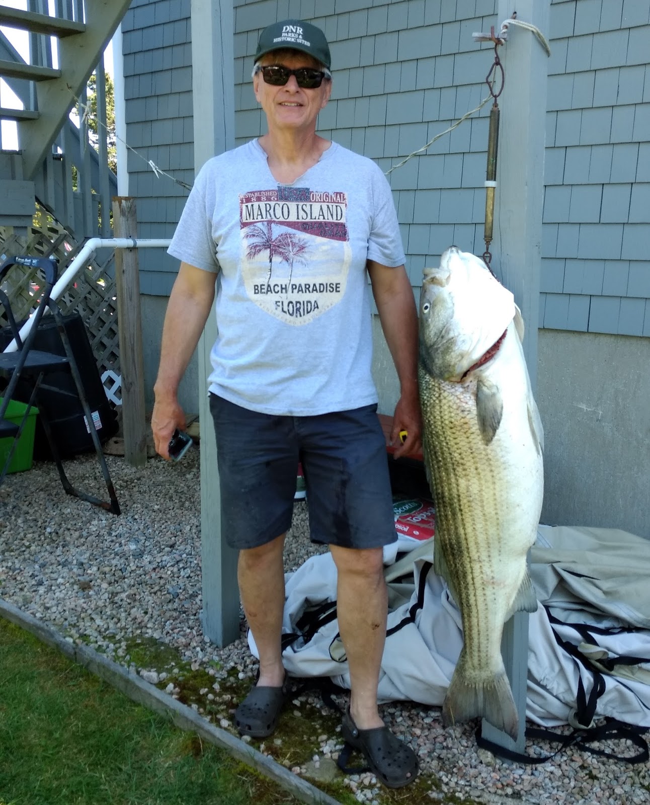 no fluke fishing: Fishing for fluke improves, Commerce Dept. agreement ...