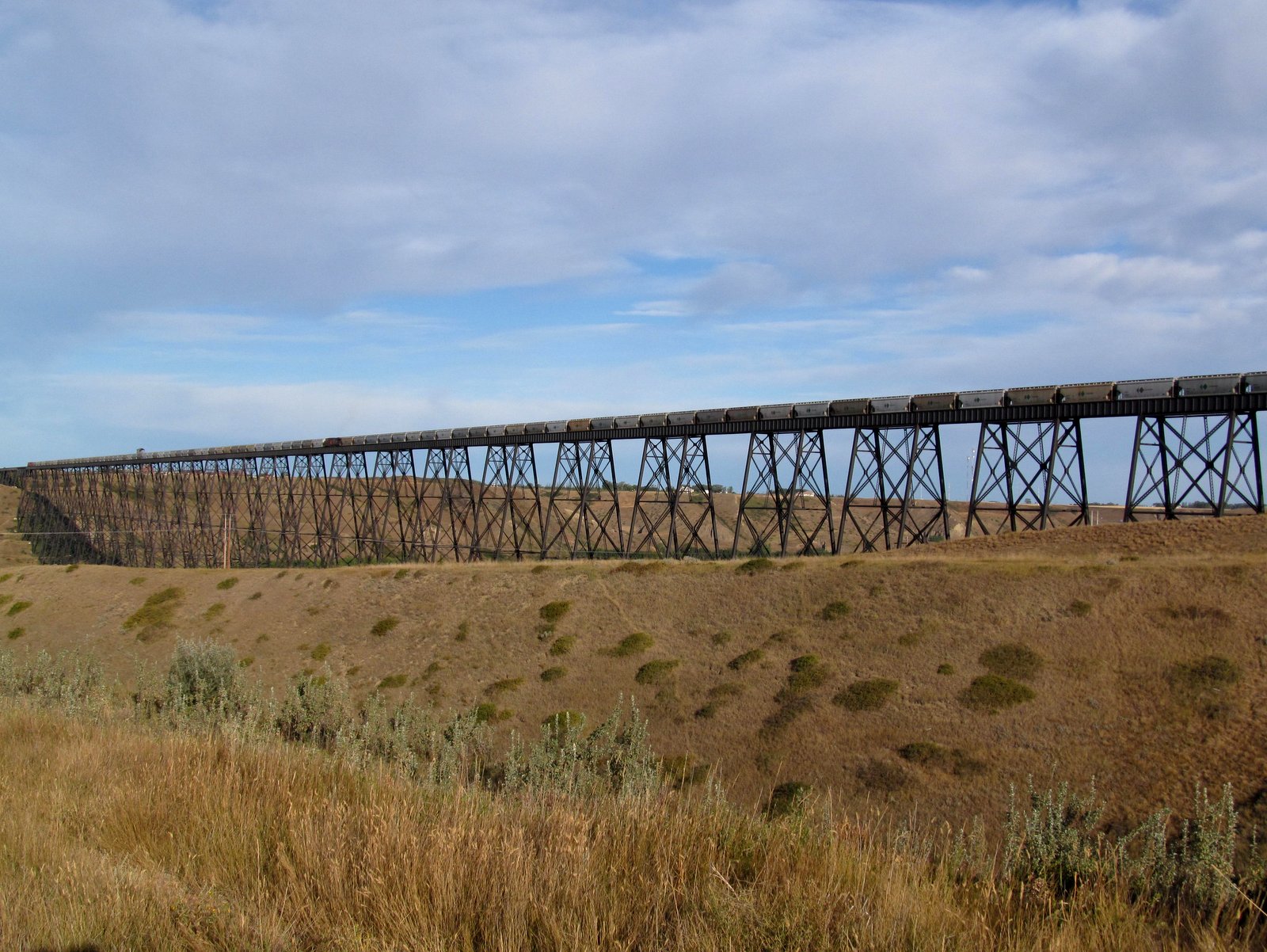 hshipman: Lethbridge