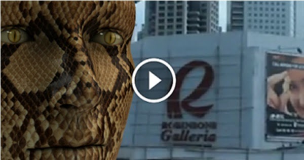 Is it true the story of Robinsons Snake Man ~ Video and Picture ...