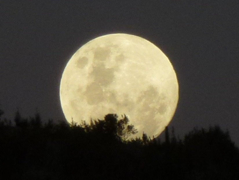 Urban Ministry Live And Unplugged: Full Moon Rising