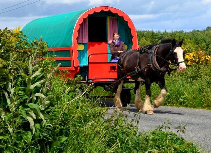 The Flying Tortoise: There's A Beautiful Horse Drawn Gypsy Caravan ...