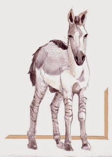 Capitán Malaspina: SOBRE LA LOCA, MUY LOCA, HISTORIA DEL ZEBRO: