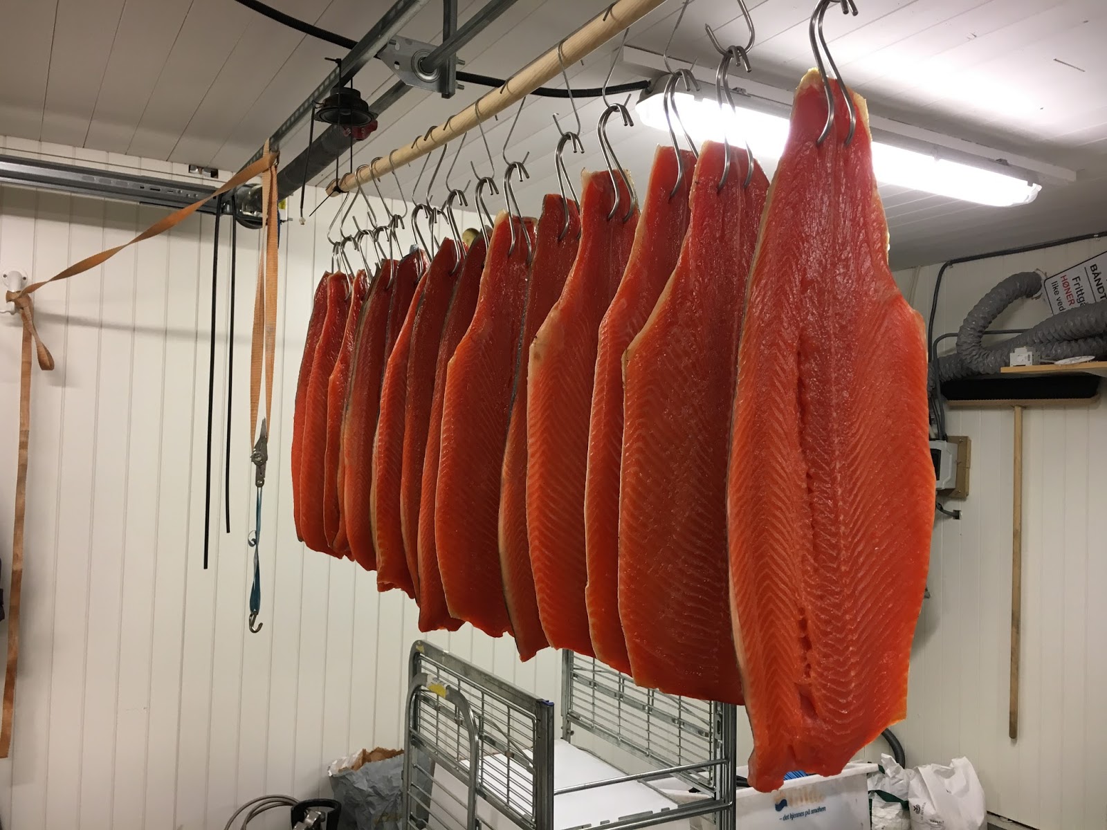 Røykeri bloggen: Røyking av fersk ørret filet