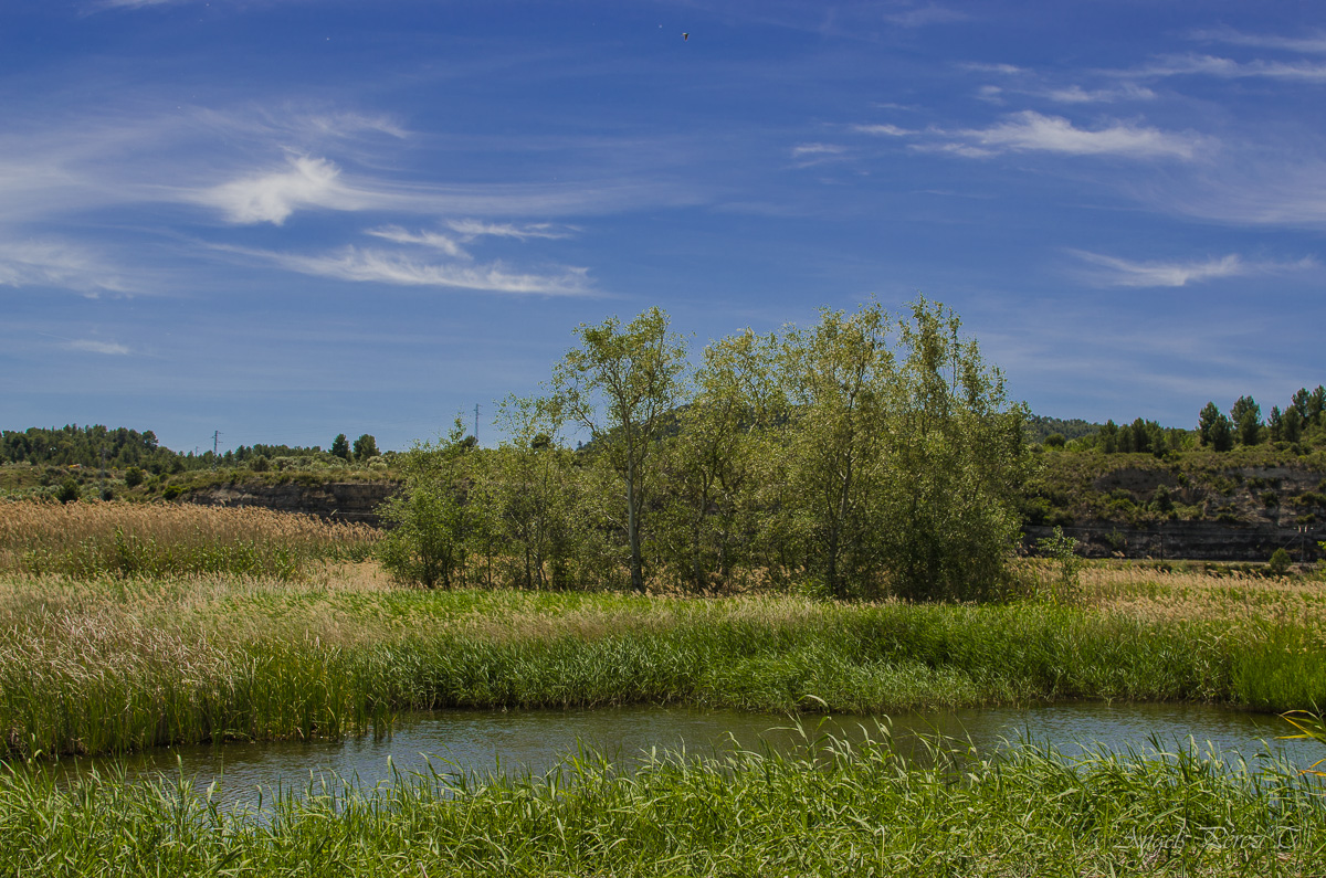 Bons moments. Àngels: Reserva Natural de Sebes