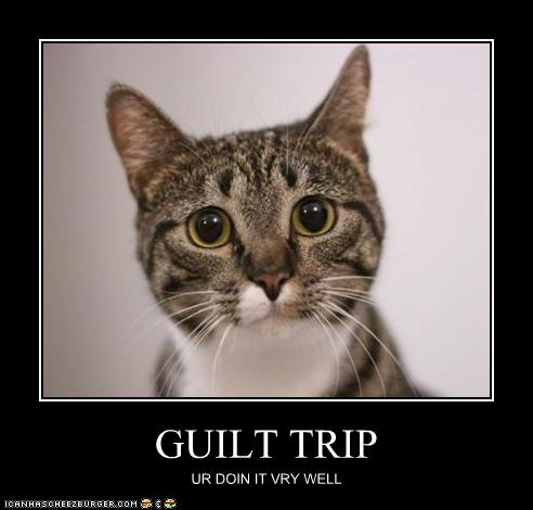 Guilt Trip Quotes. QuotesGram