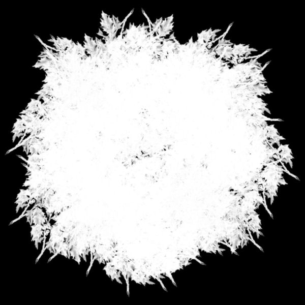 Lori's PSP Graphics: 5 More masks!