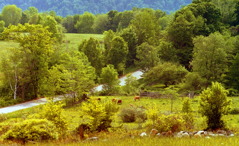 THUMBNAIL TRAVELER: VERMONT COUNTRYSIDE - PASTORAL PASTURE